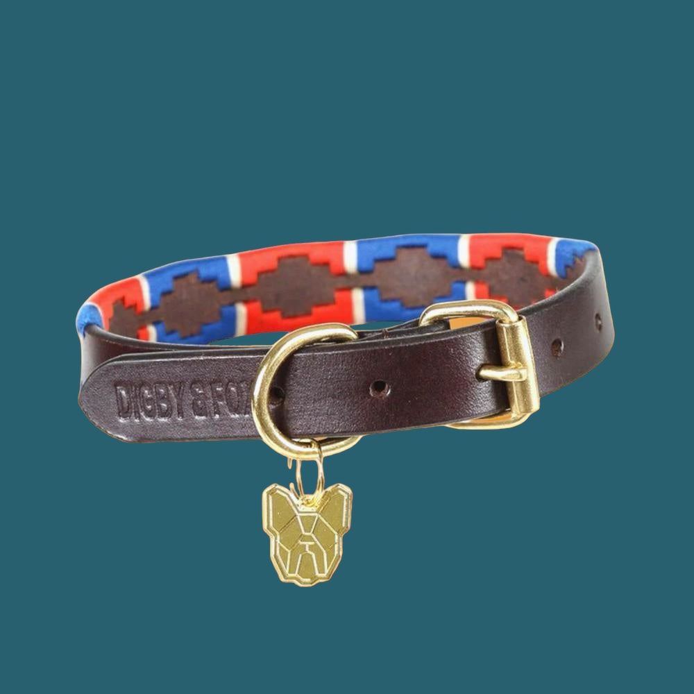 Collars, leads & Harnesses – Wiggle and Wag