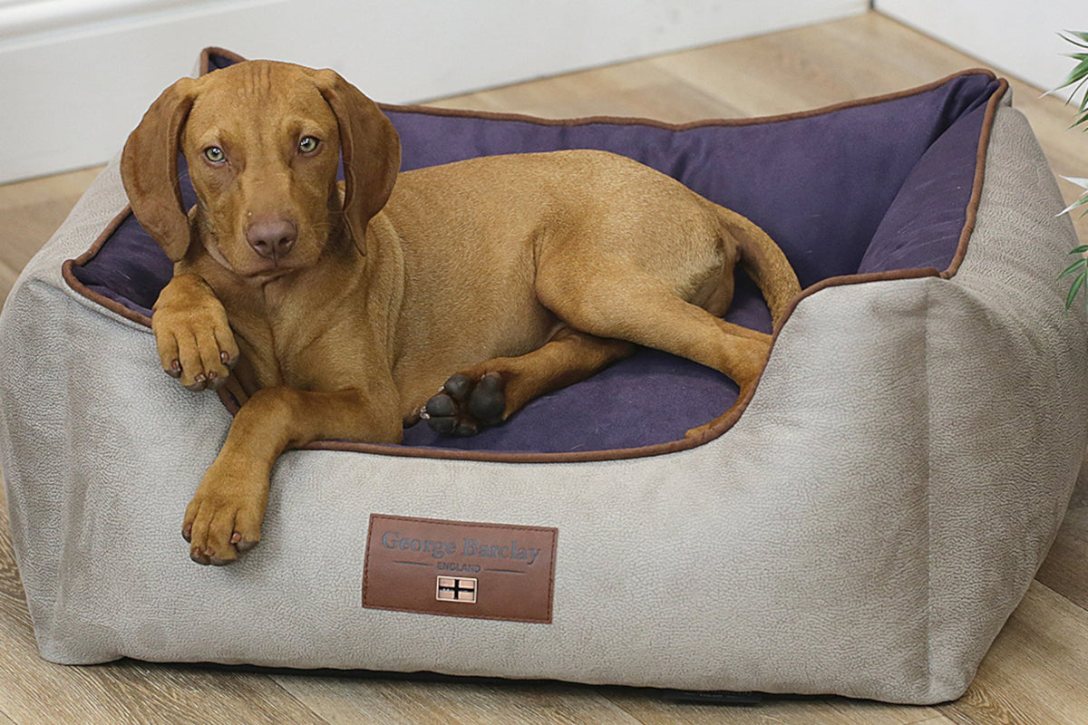 George Barclay Box Beds – Wiggle and Wag