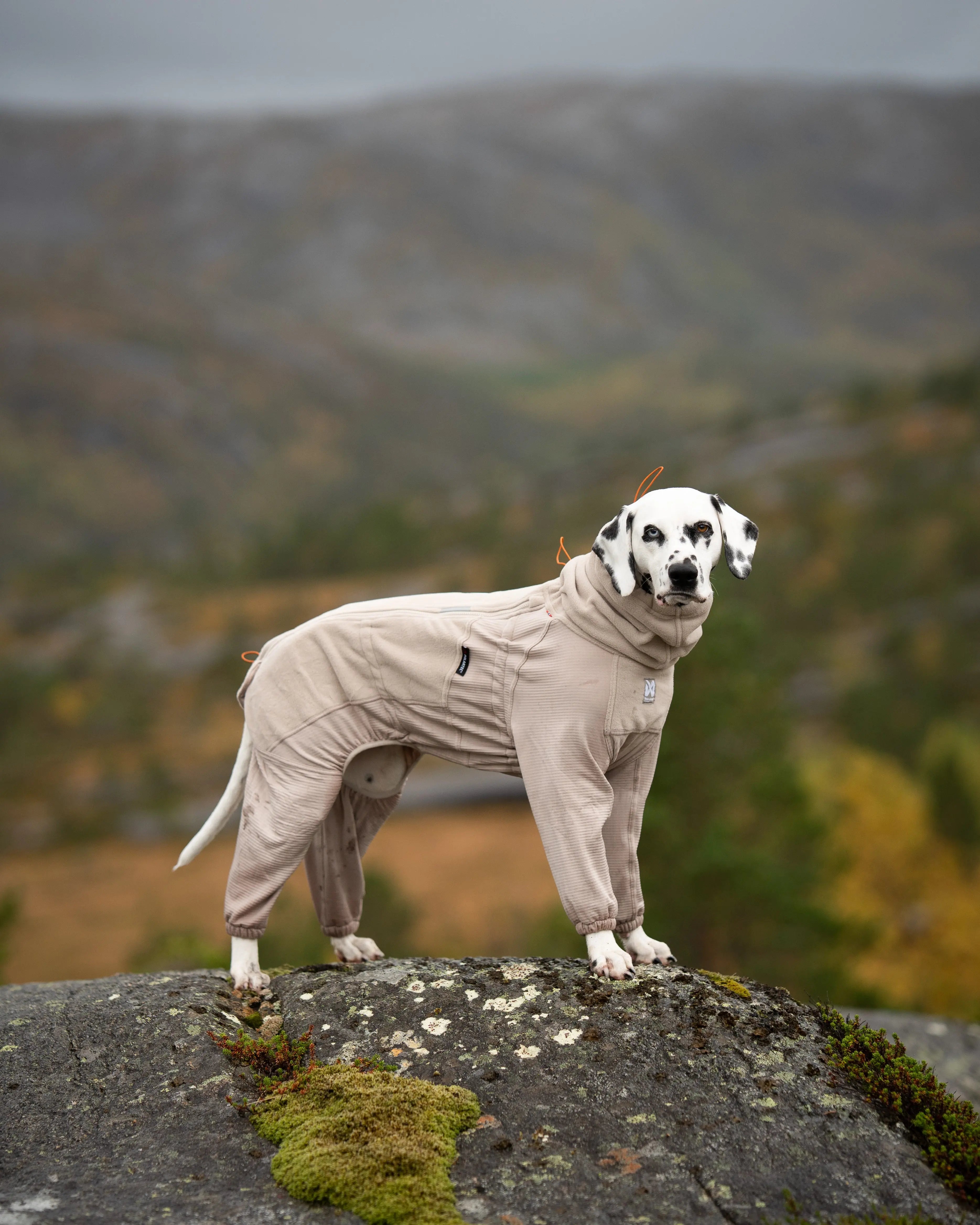 Trail quest fleece overall – Non-stop Dogwear | Wiggle & Wag UK ...