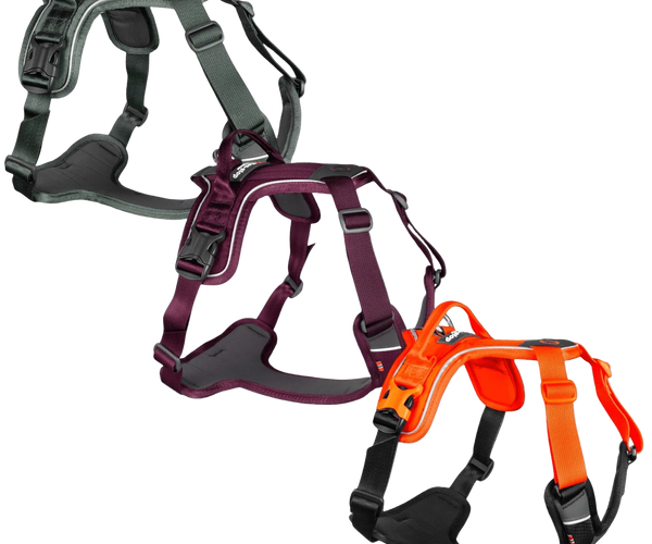 Ramble Harness – Non-stop Dogwear | Wiggle & Wag UK – Wiggle and Wag